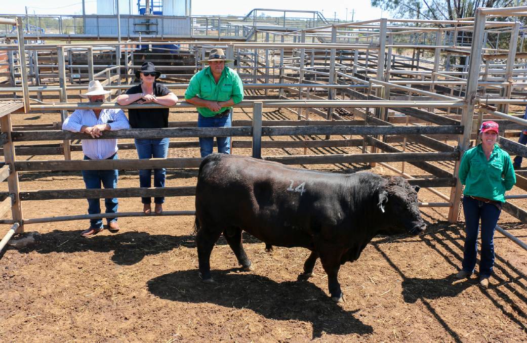 QLD 2020 Sale Archive | Bonnydale